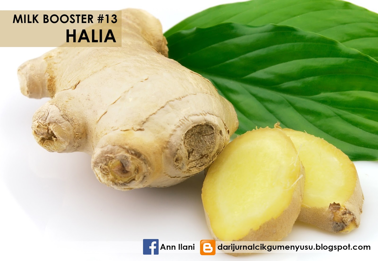 14 Makanan Penggalak Susu (Milk Booster)