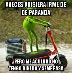 los memes de la rana rene