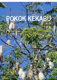 Anim Agro Technology: KEKABU - SATU YANG PERLU ANDA TAHU