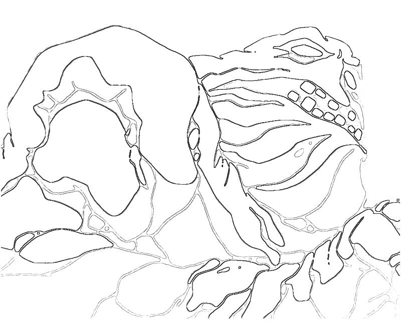 Clayface Coloring Page Coloring Pages