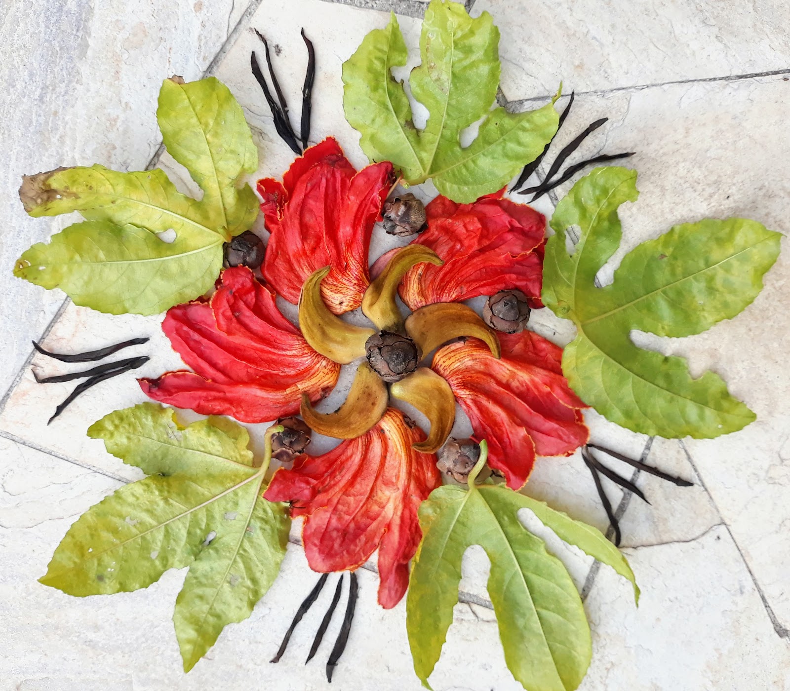 Exemplos De Arte Efemera - FDPLEARN