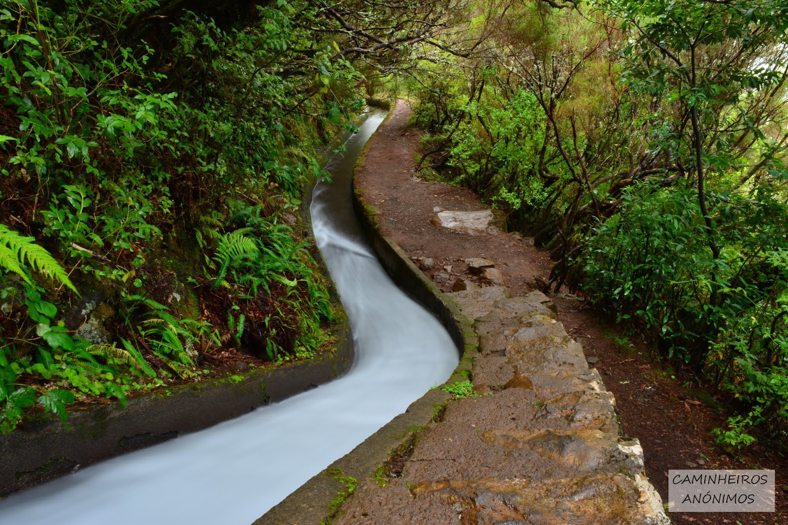 Caminheiros Anónimos Levadas da Madeira : Levada Grande do Paul (Calheta)