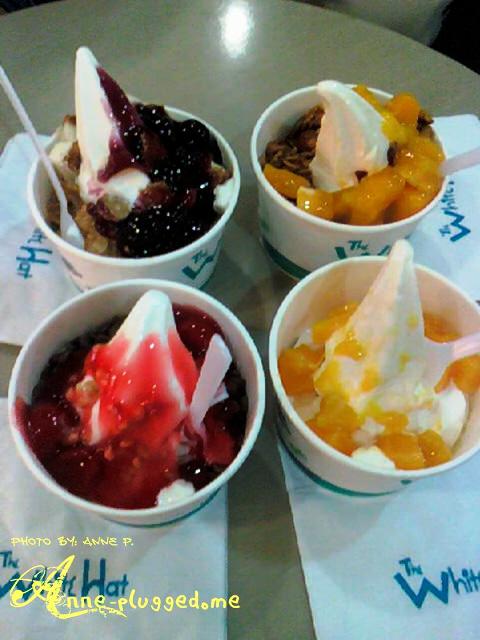 Anne-plugged: What is Froyo?