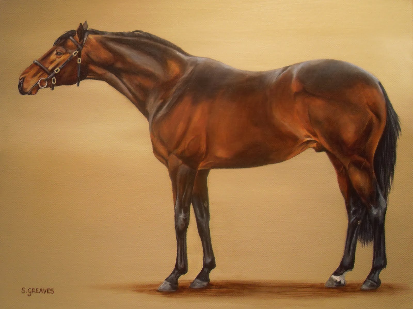 Stephanie Greaves, Artist