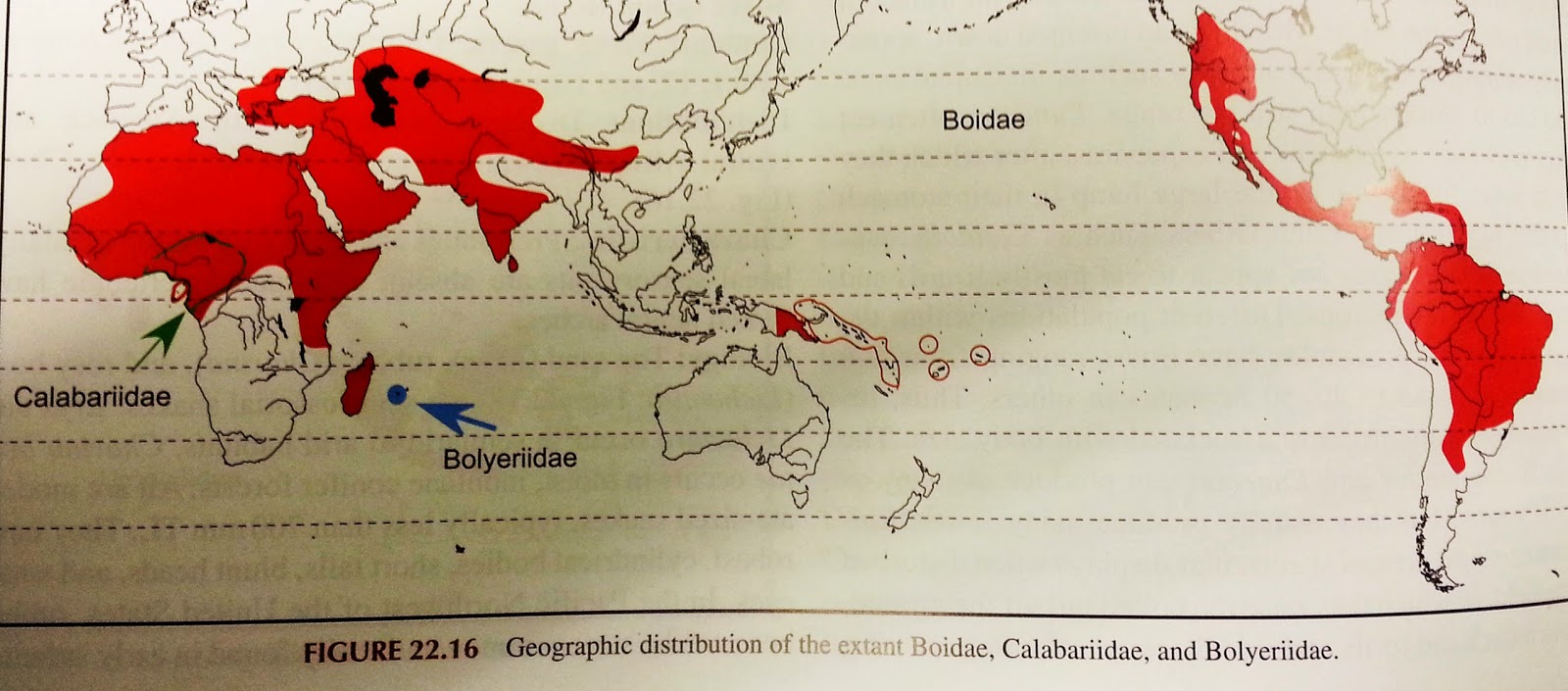 Biology of the Reptilia: Worldwide Reptile Diversity - Cleveland ...
