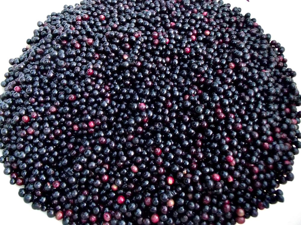 Dulceata din fructe de soc - CAIETUL CU RETETE