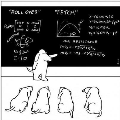 The Rio Grande Rocket Company: Dog Physics - A Smart Lab