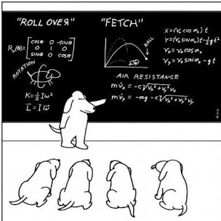 The Rio Grande Rocket Company: Dog Physics - A Smart Lab