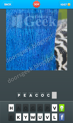 Zoomed In - Photo Word Game Level 309 ~ Doors Geek