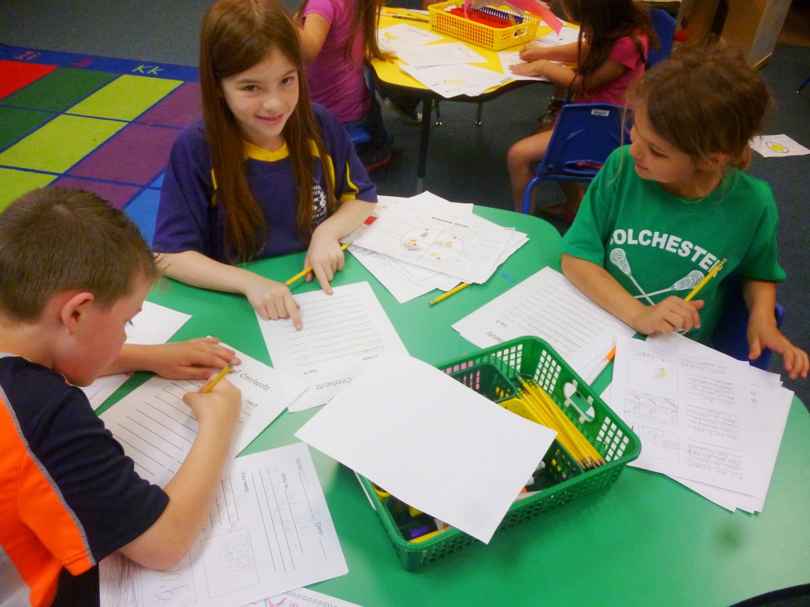Mrs. Sorenson's First Grade: Arrival of the chicks