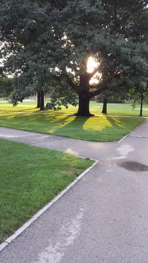 Taking On High Street - A College Lifestyle Blog: 6 Places Other Than ...