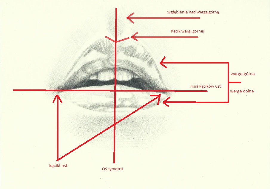 Artystyczne Ciekawostki Marcysibush: Jak rysować usta ? - część techniczna