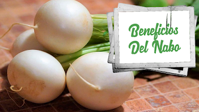 Beneficios Del Nabo | PLENITUD NATURAL