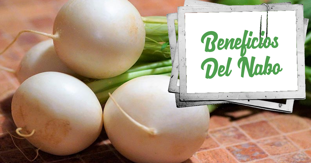 Beneficios Del Nabo | PLENITUD NATURAL