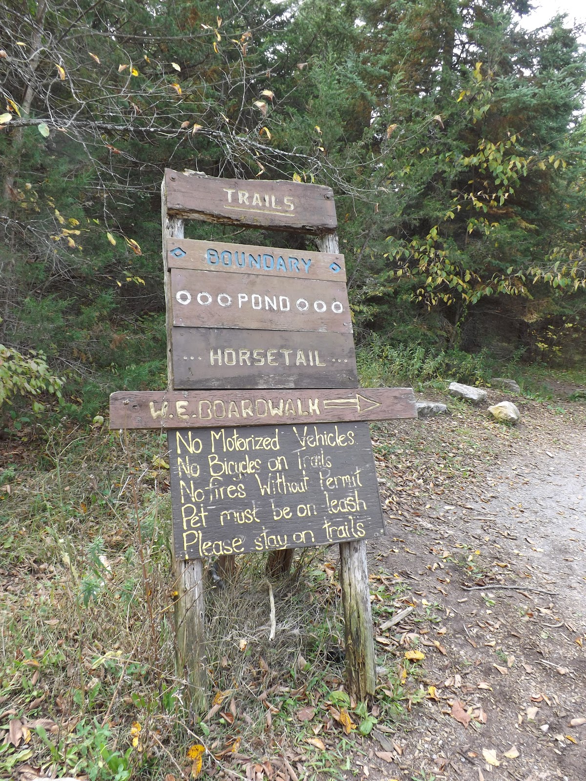 The Middle Aged Woman Who Lived in a Shoe: The Dreaded Frink Centre