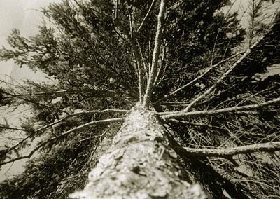 130 Maggie Fields: Amplified Perspective (40)