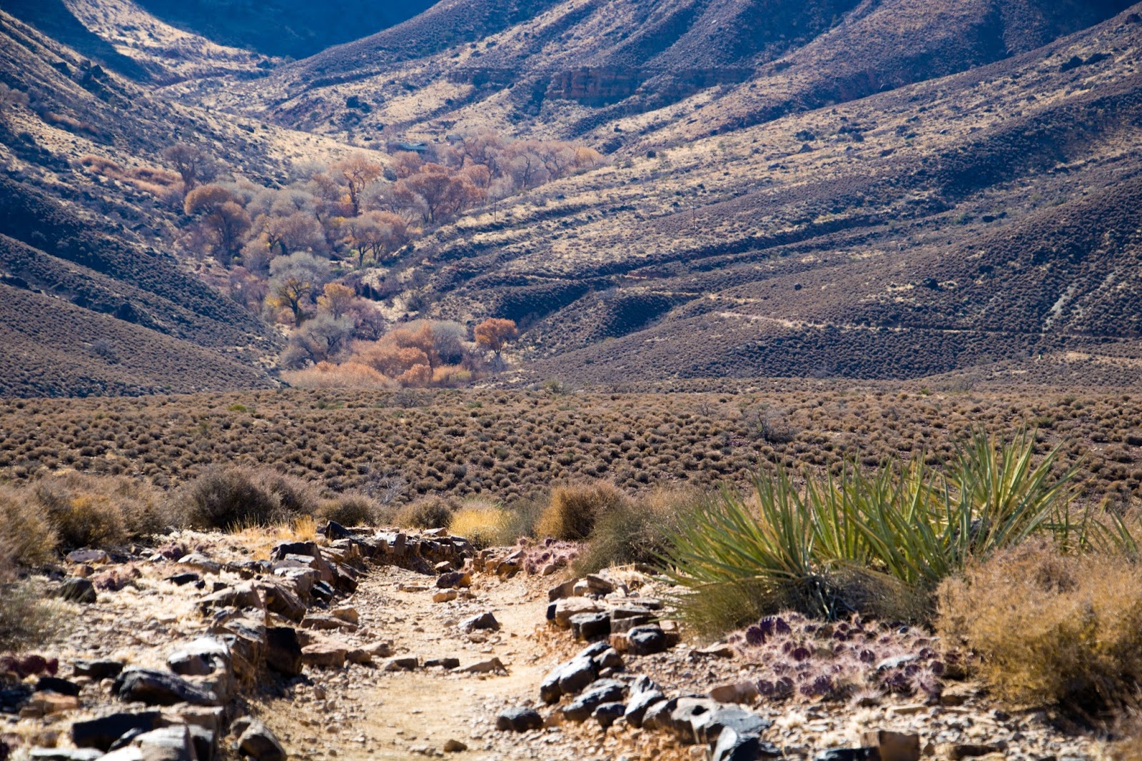 Hiking Shenandoah: Plateau Point (Bright Angel Trail)