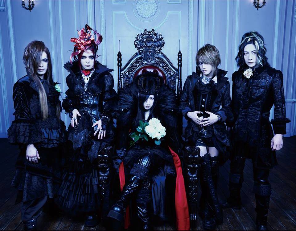 D - LIVE DVD Release