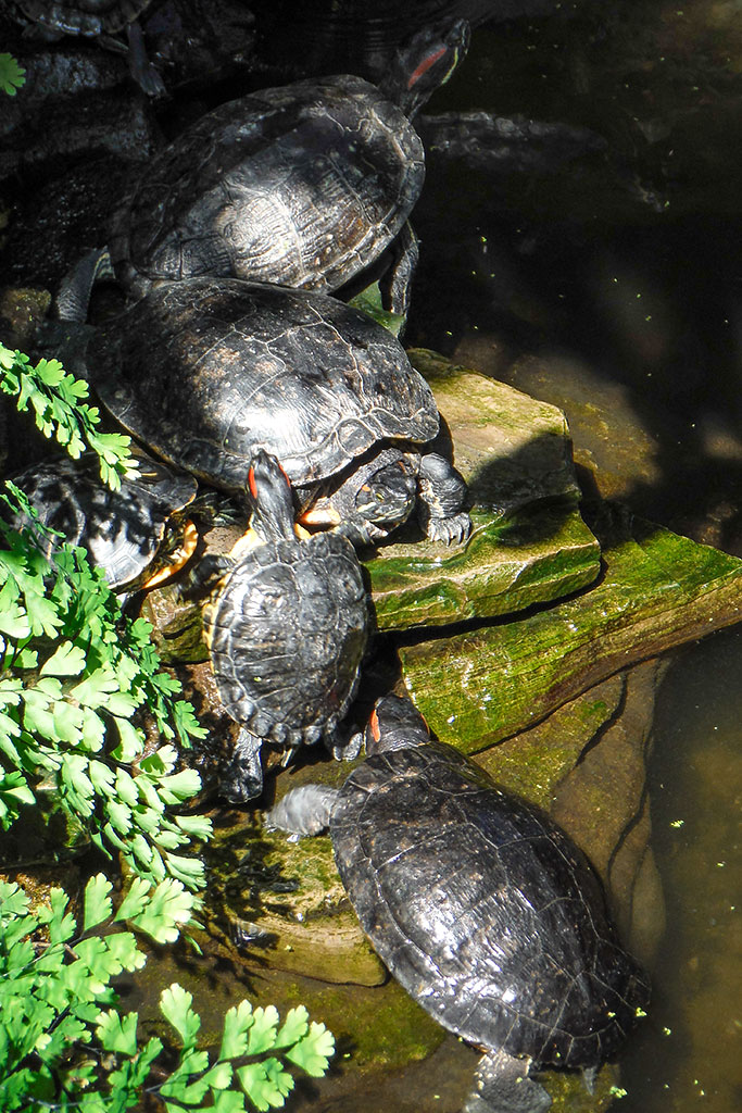 Bubba's Garage: Visiting Niagara Falls, Ontario, Canada - Part 2