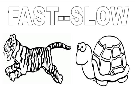 ALGOPEKES: FAST- SLOW