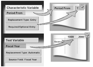 SAP Information System Reporting Variables - SAP ABAP