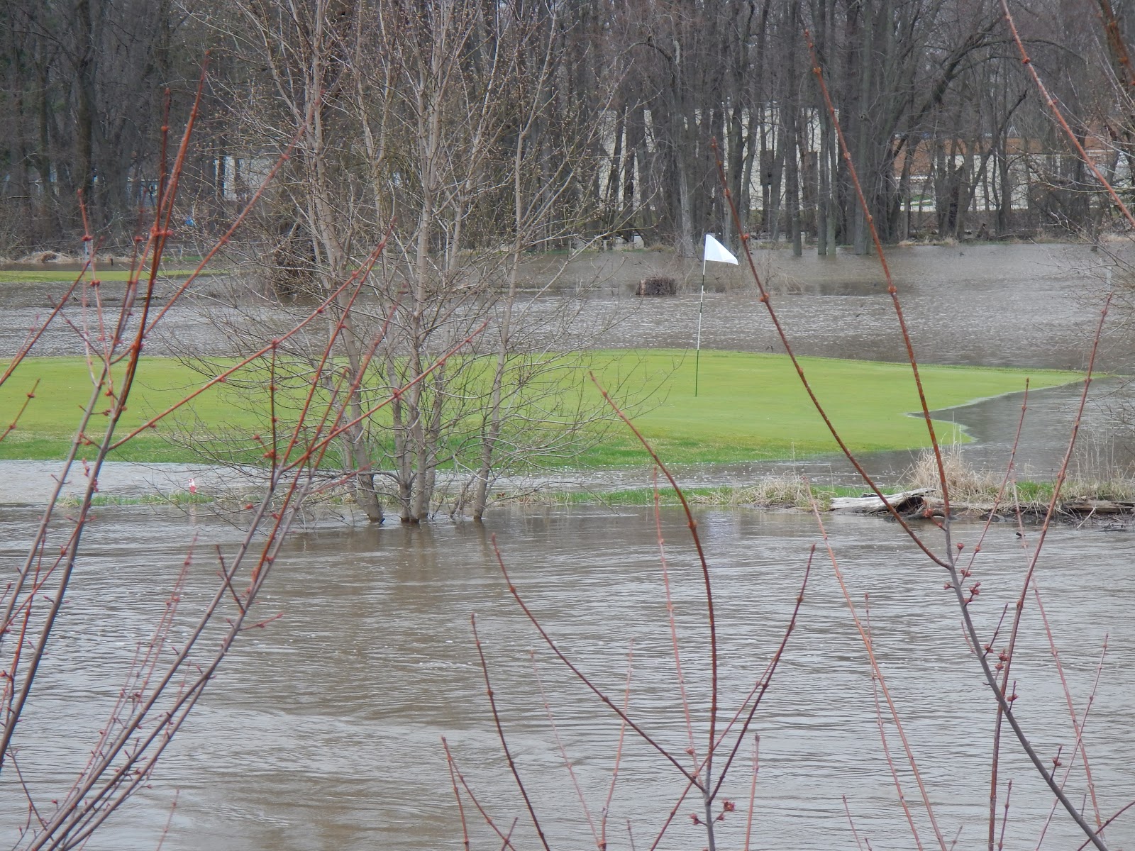 Michigan State University: Spring Flooding of Turf