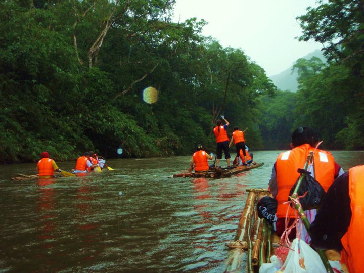 Cats City Hornbill Land: PADAWAN FEST RIVER SAFARI