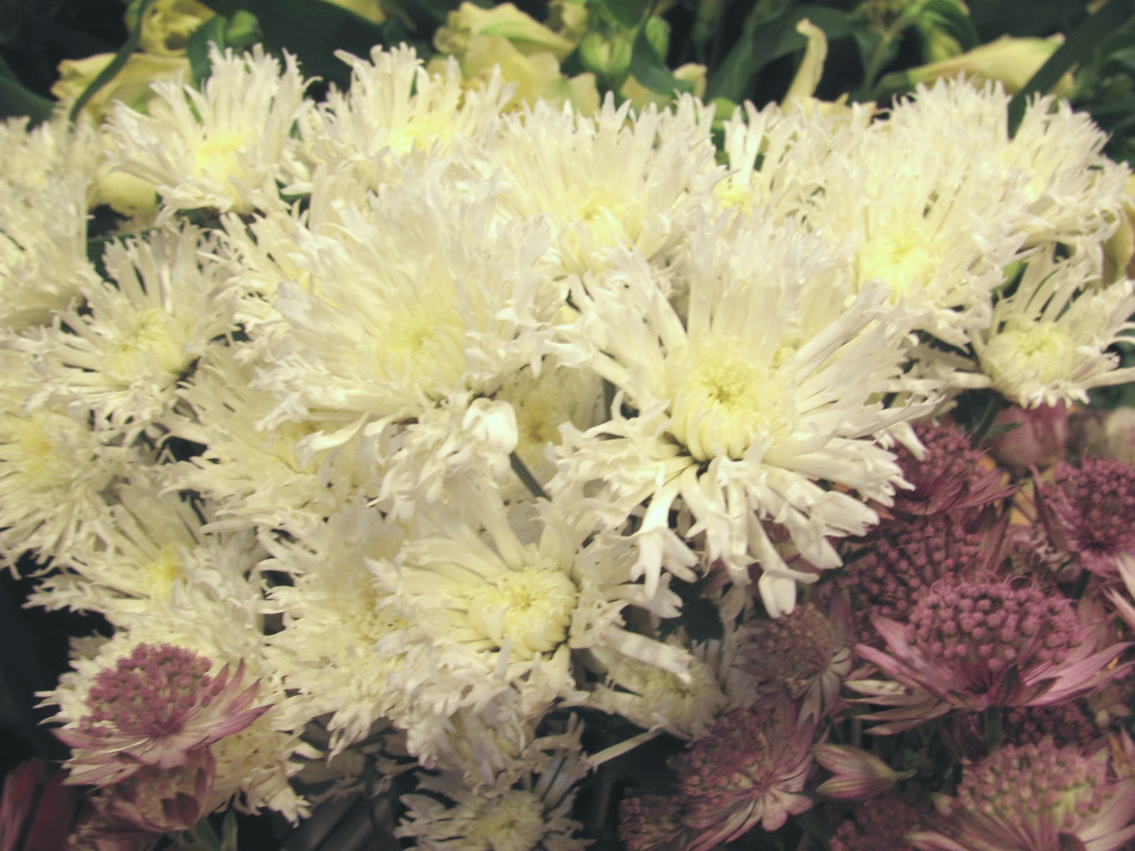 The Little Florist: Lovelies of the Week