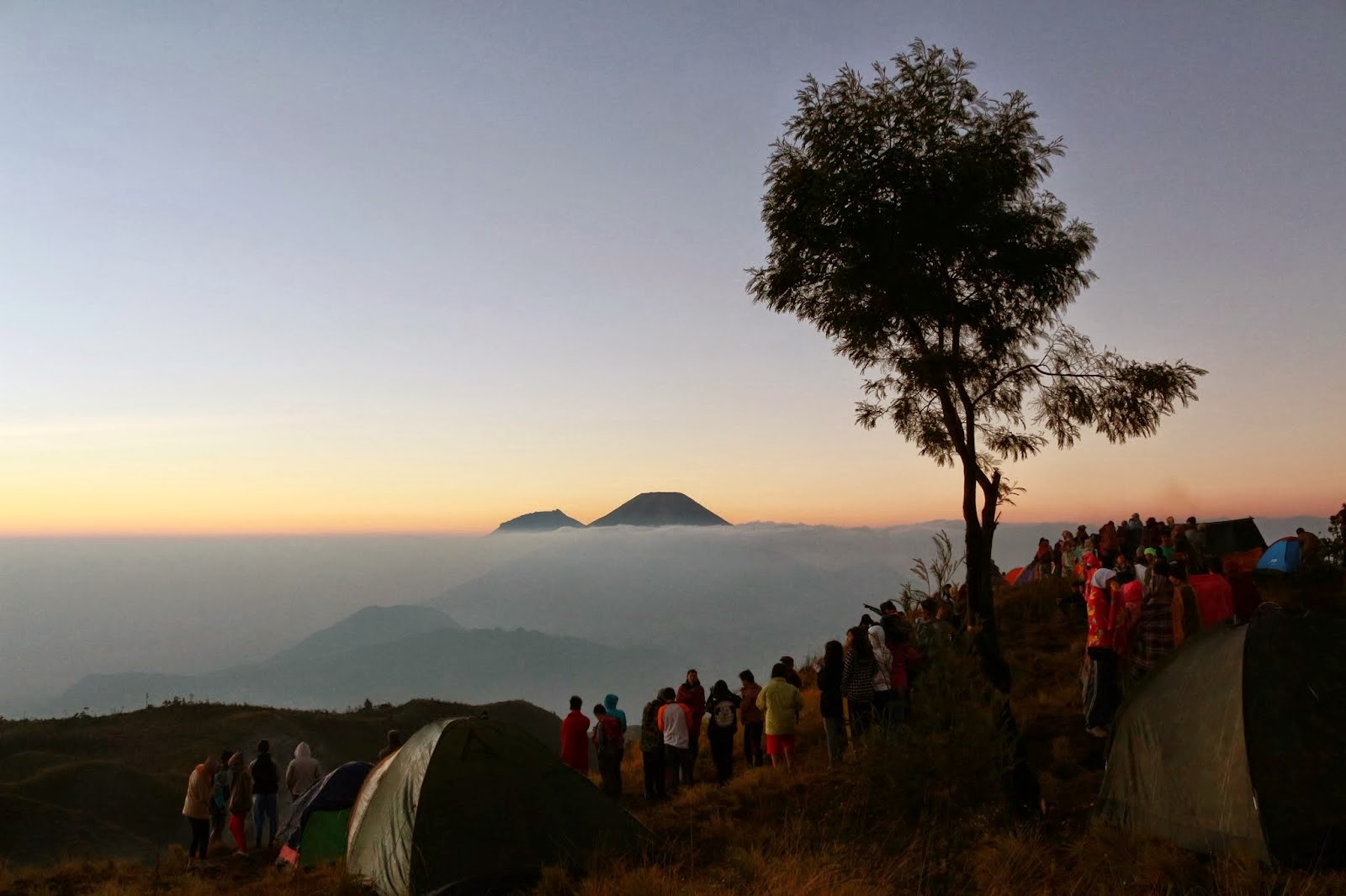 Adventure-Jogja: Keindahan bukit Teletubbies dan taman bunga Daisy yang ...