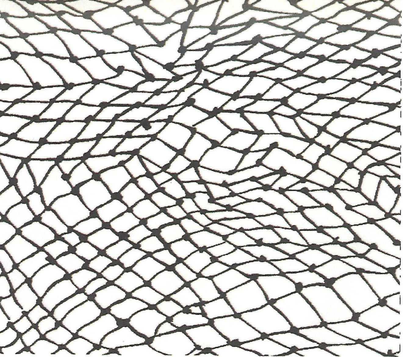 Unraveling Threads: A Spider Silk Sweater