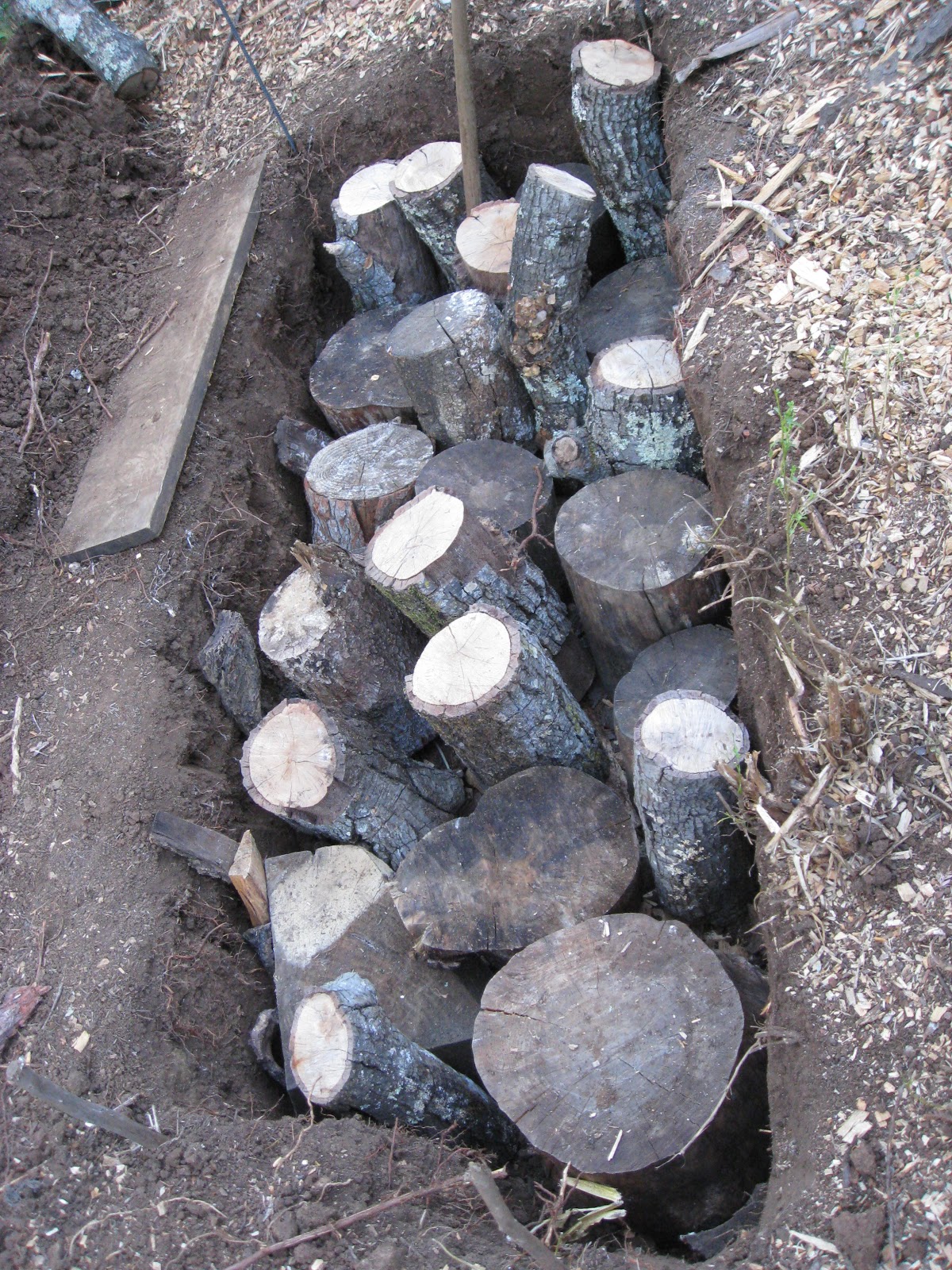 Low Cost Vegetable Garden: Garden bed construction