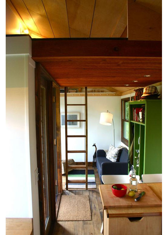 TINY HOUSE TOWN: Modern Tiny House For Tall People