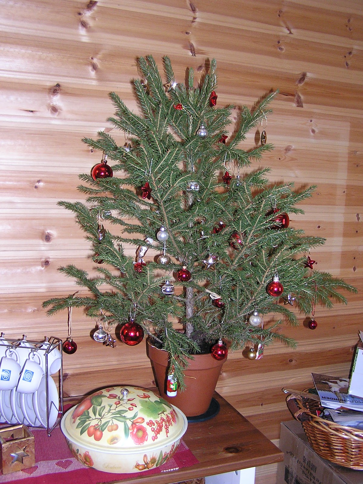 Katerina's Journal: The Christmas Tree Thing: The 6 Phases Of My ...