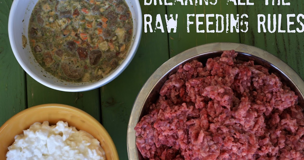 My Rotten Dogs: Rules are Made to be Broken - and I Break Raw Feeding Rules