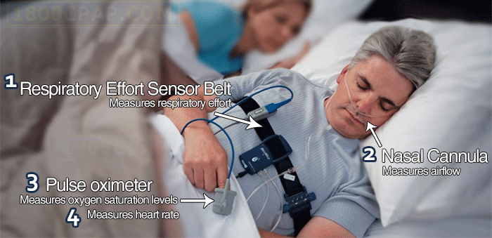 Portable Monitoring For Sleep Apnea :: Ruth Fillery-Travis