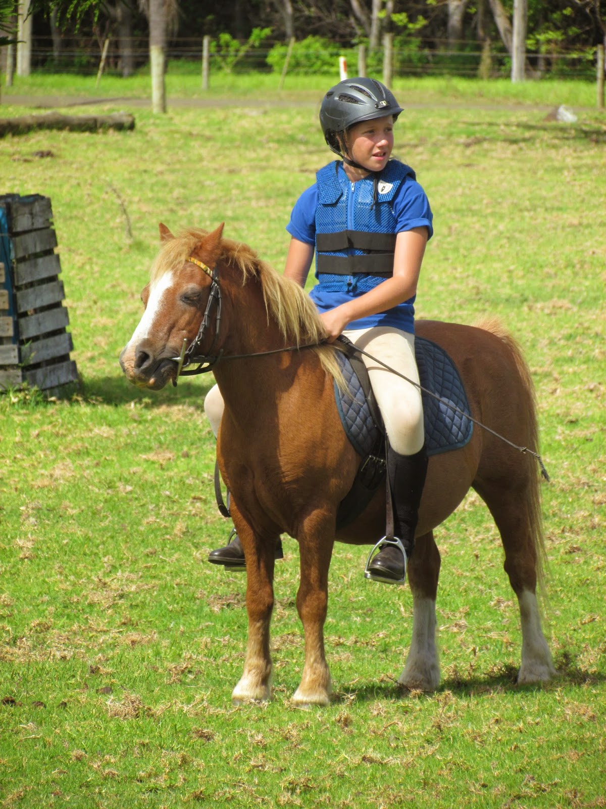Norfolk Island Pony Club & Equestrian Association