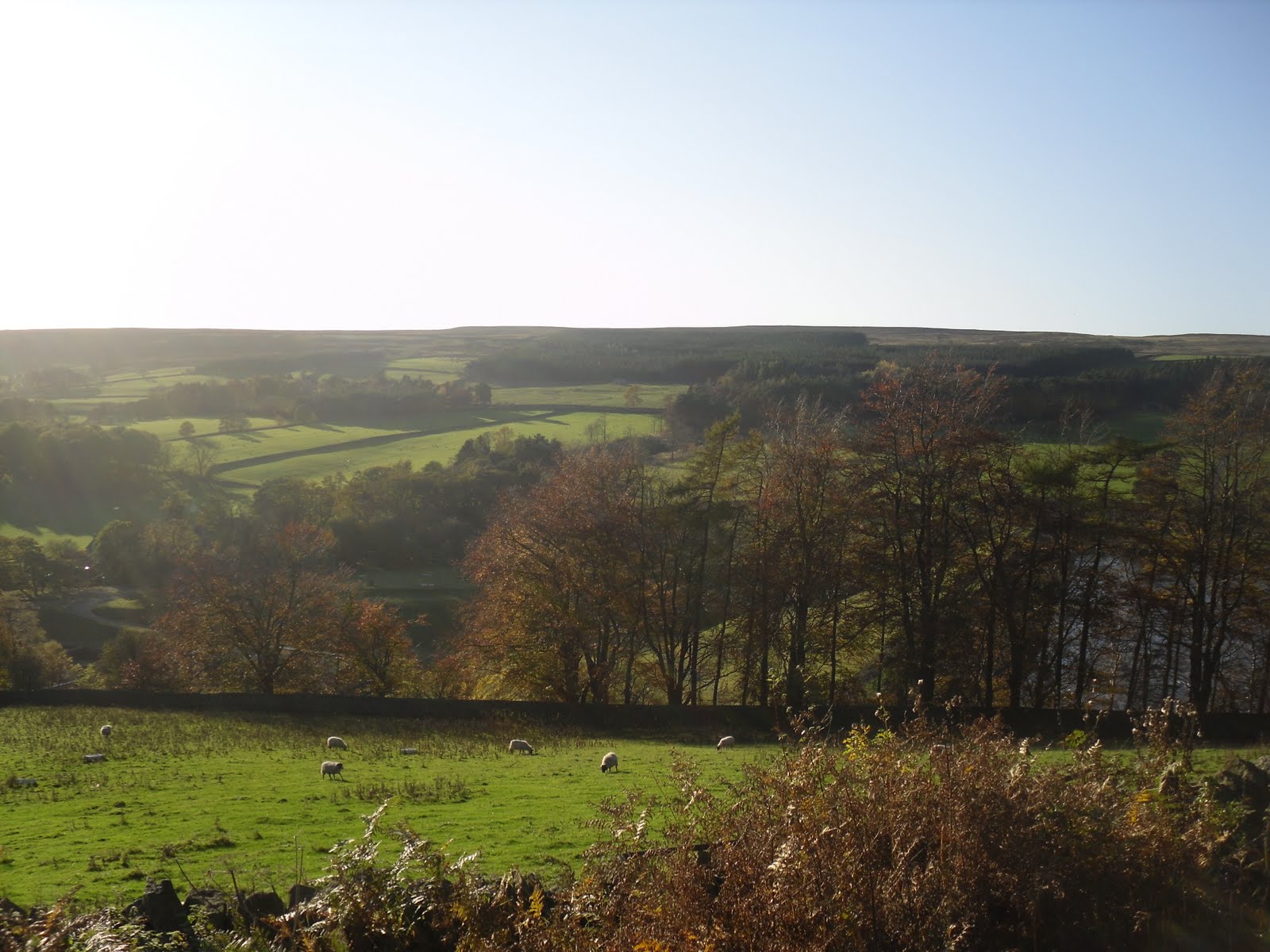 Rambling Nana: Wolsingham, Tunstall Reservoir Circular