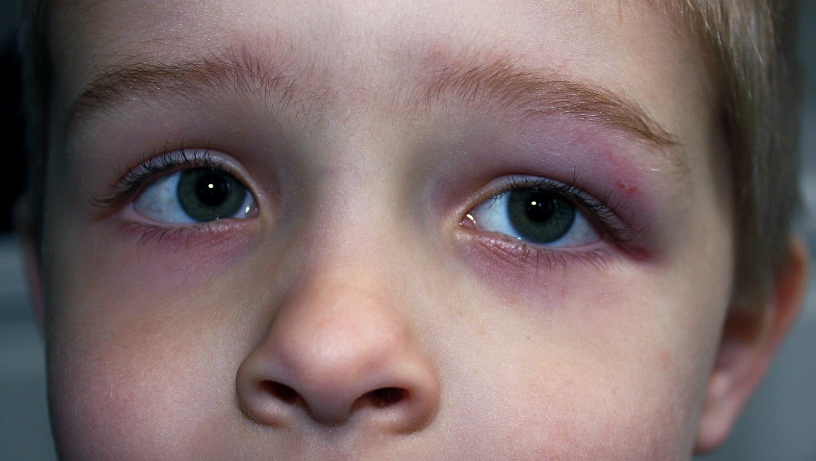 Because I want to remember it all...: Shiner