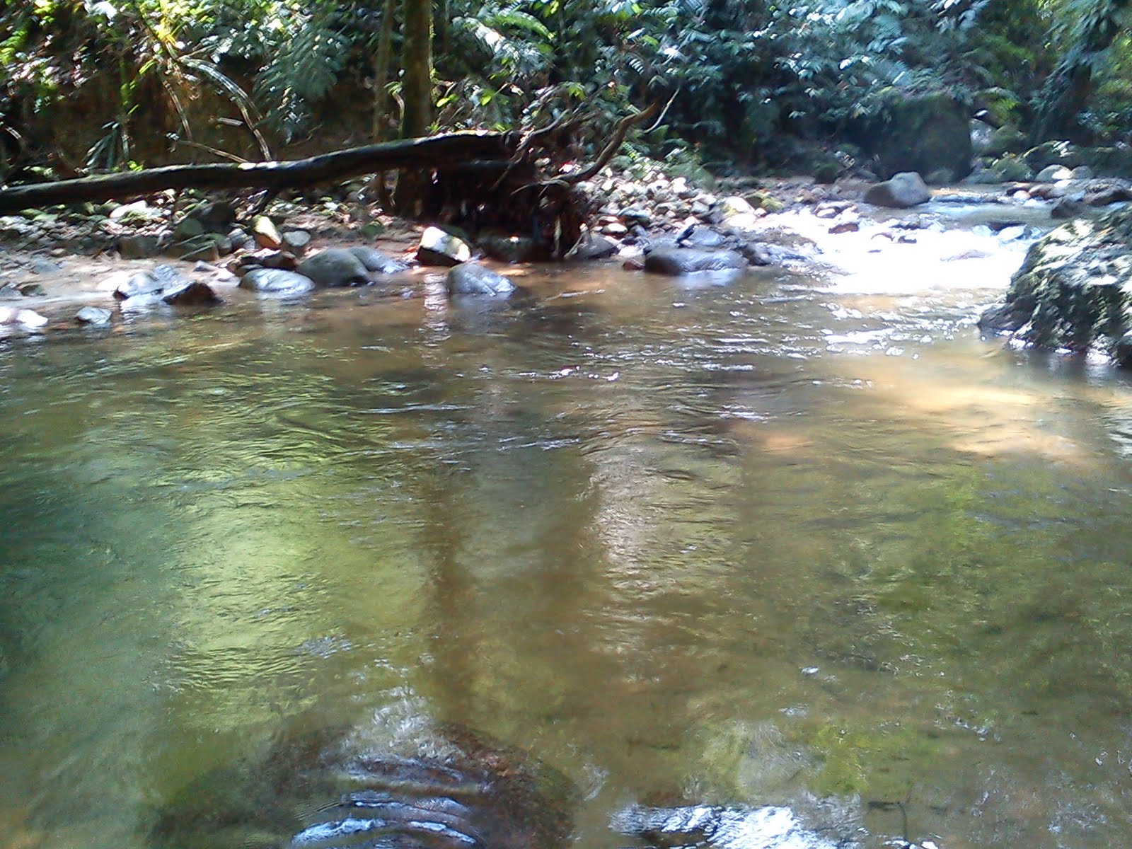 ayanuts: Mandi- Mandi Ulu Yam