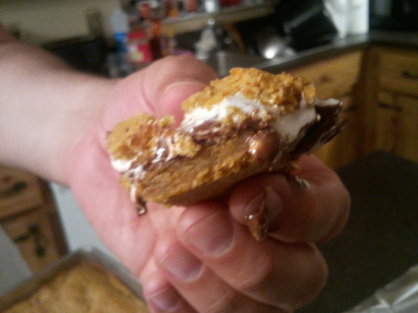 Krypton's Kitchen: Baked Smores