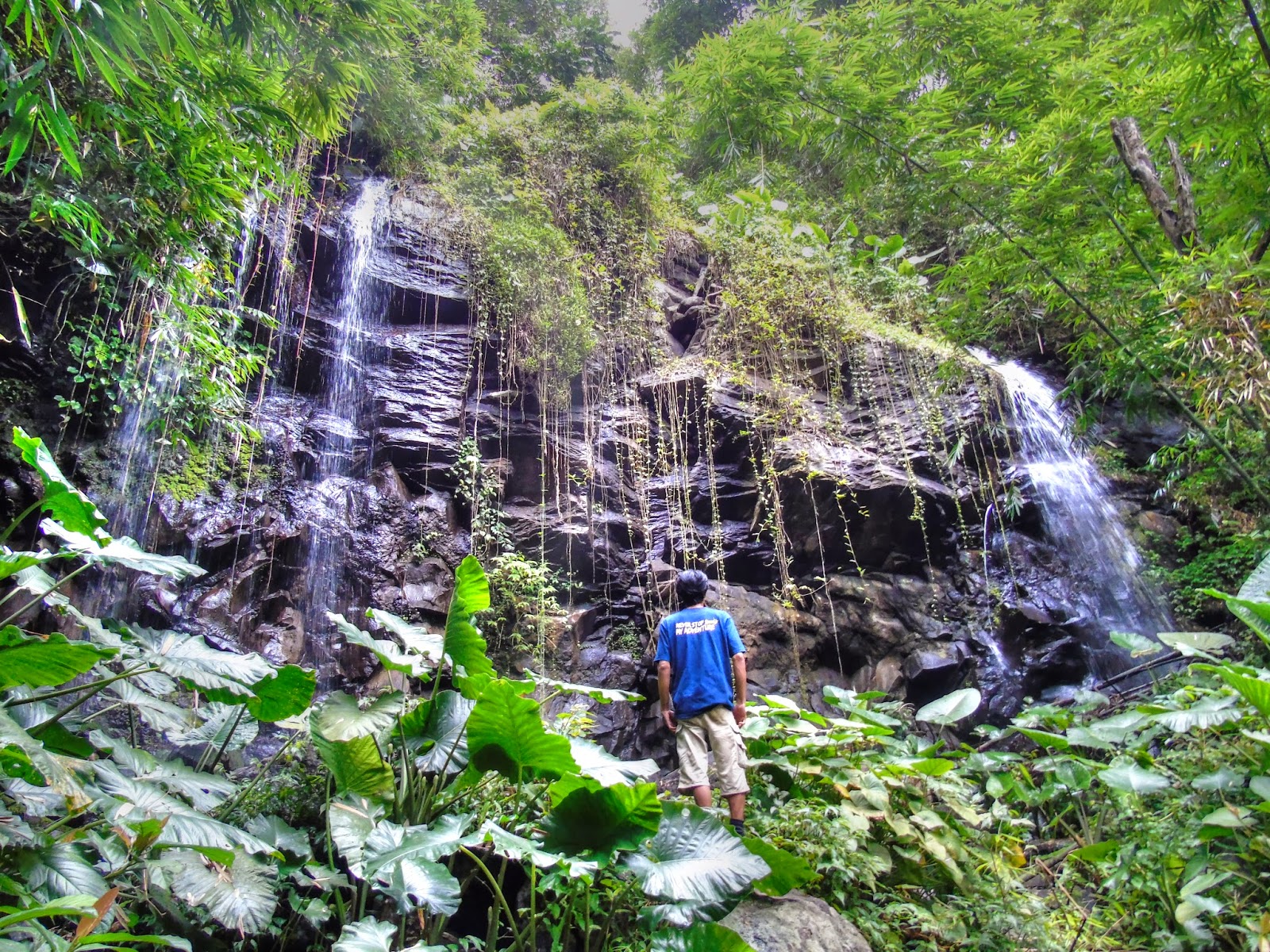 My Trip Air Terjun Selendang Tujuh Bidadari Mojokerto