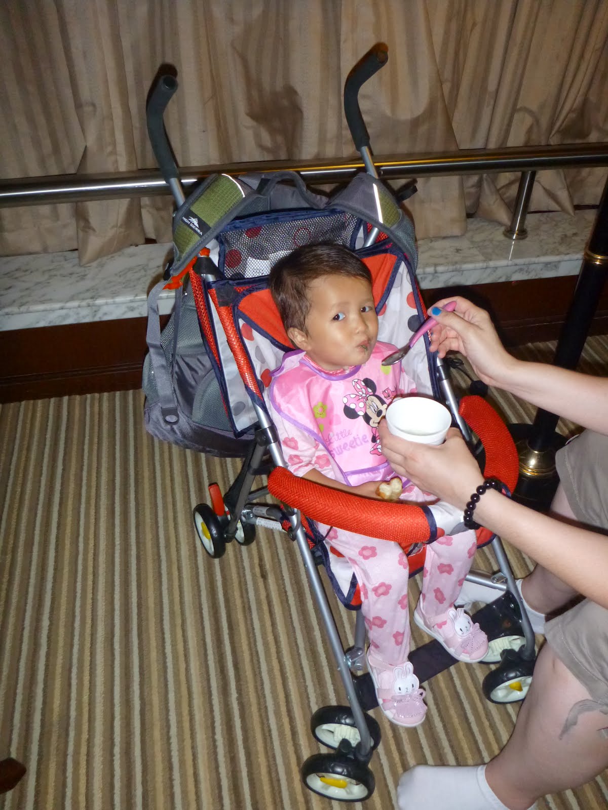 Adventure to B'Elanna and Ayla: Gotcha Day Pics 3 & Grammy's Gotcha Day ...