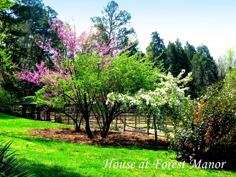 House at Forest Manor: Springtime in Reynolda Gardens