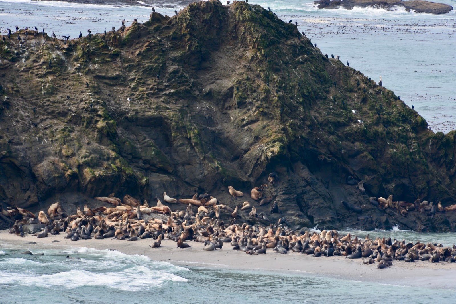 venturing4th: Haul-out at Simpson Reef