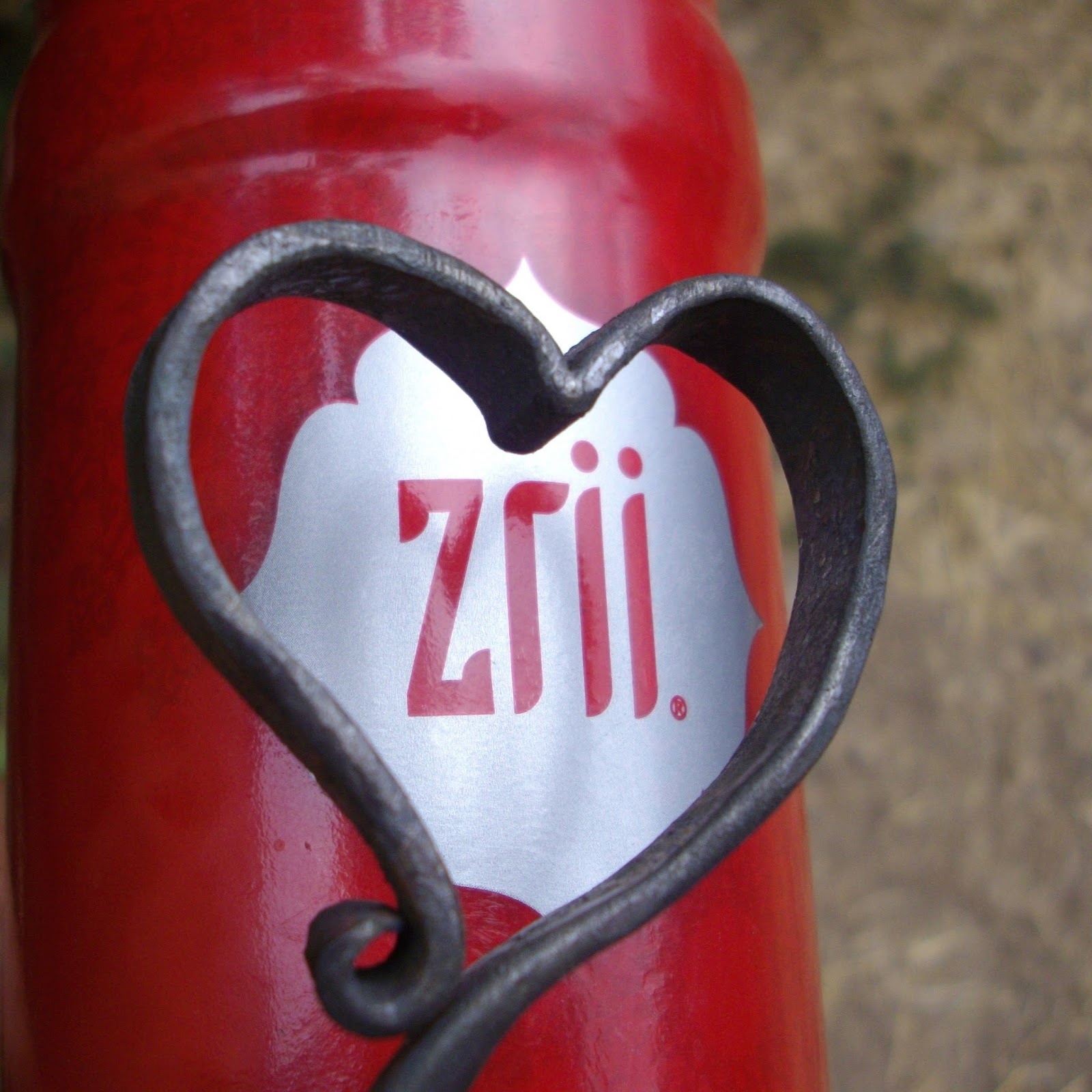 Saluzrii: ZRII: UNA SOLUCIÓN INTEGRAL POR MÓNICA NAUDÍN