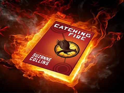 An Affliction of Poetry: Burning