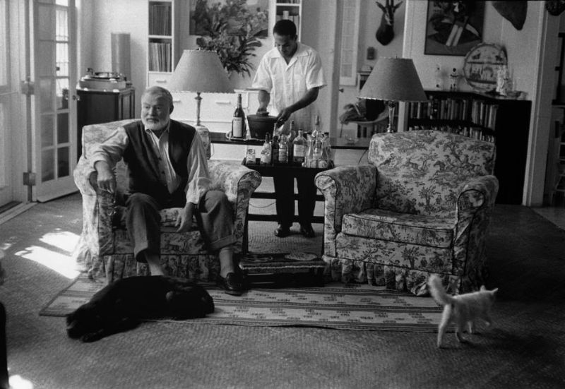 26 Interesting Vintage Photos of Ernest Hemingway With His Beloved Cats ...