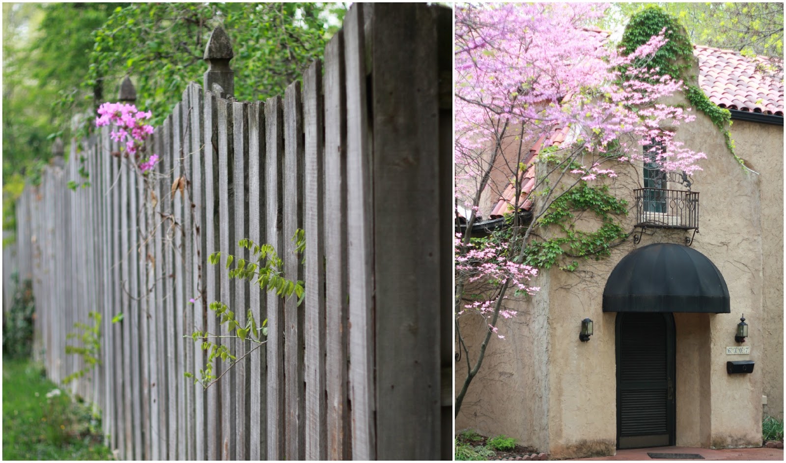 Musings: St. Louis Spring Garden Walk