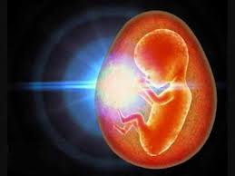 AS REVELAÇÕES DA REVELAÇÃO: POR QUE E PRA QUE REENCARNAR?