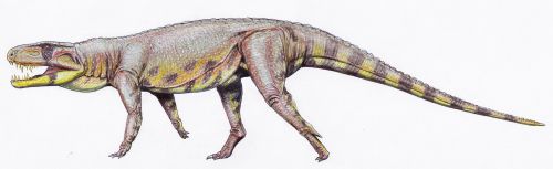 Escenarios prehistóricos: Polonosuchus